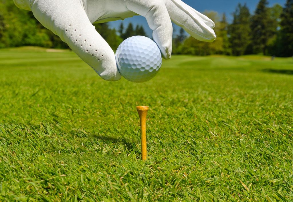 [2026] Golf Tee Popularity Ranking! Introducing Best-Selling Products ...