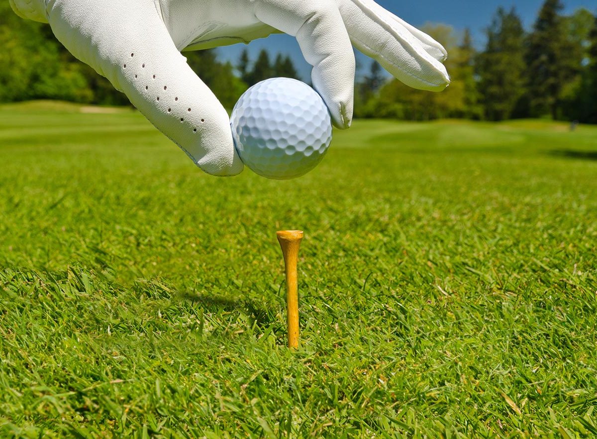 [2026] Golf Tee Popularity Ranking! Introducing Best-Selling Products ...
